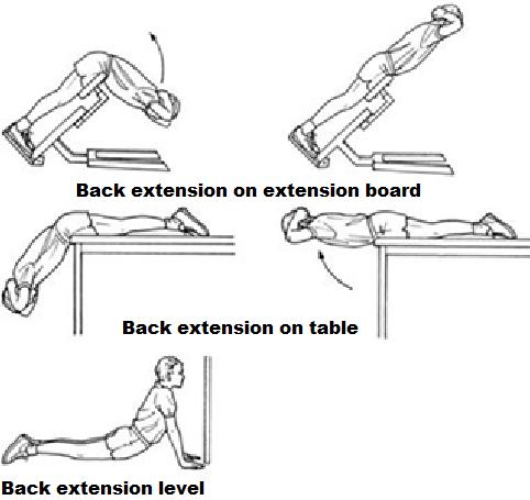 Gym Users | North Endicott Chiropractic